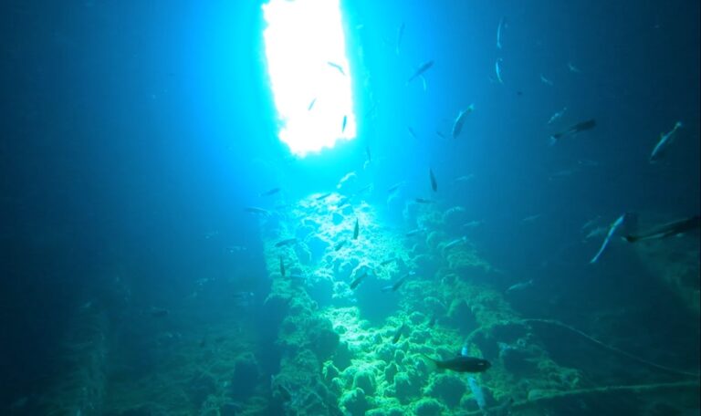 Scuba Diving Subic Bay Philippines World War wrecks in the - Scuba ...